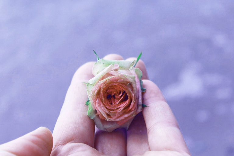 アズールロゼギャラリー | Azur rosé Galerie